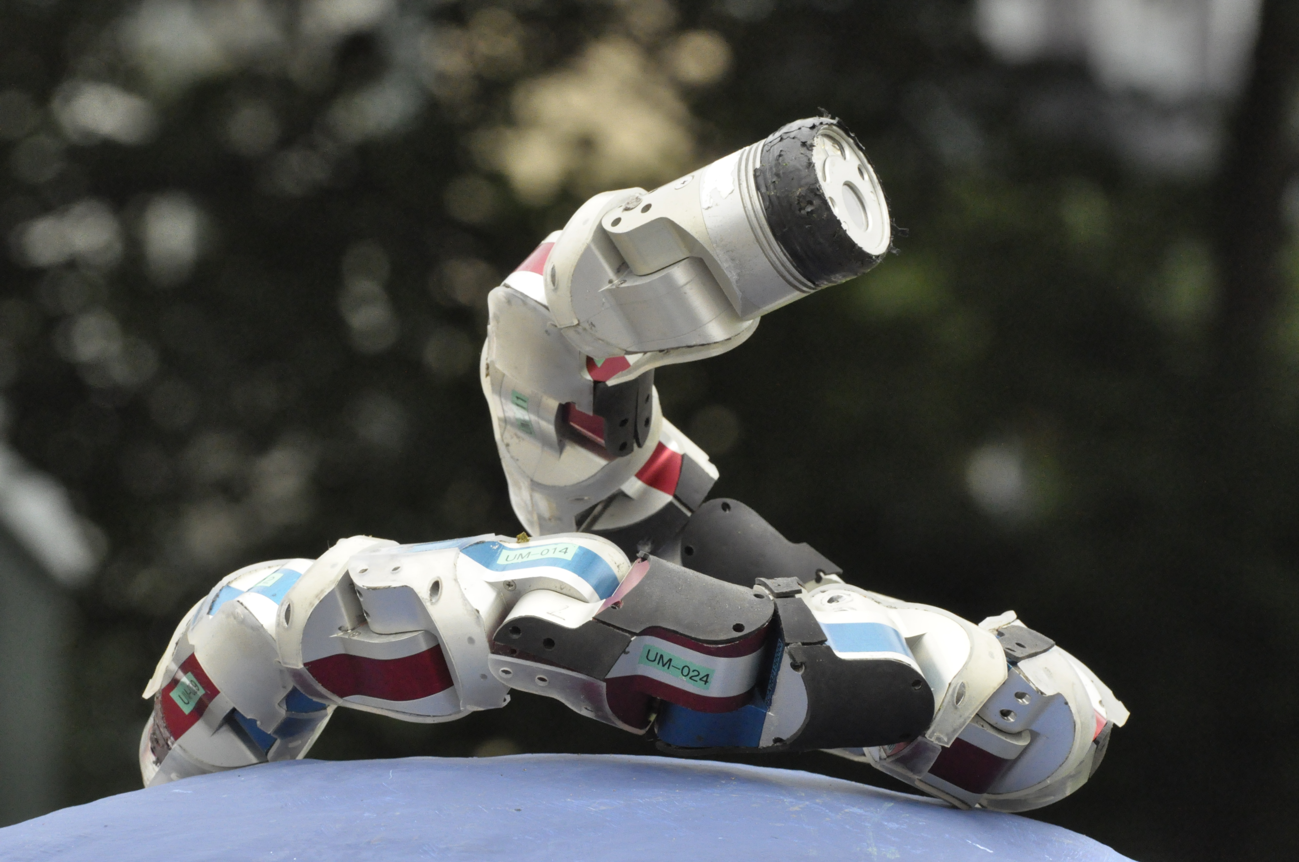 CMU-Biorobotics Laboratory – Matt Martone